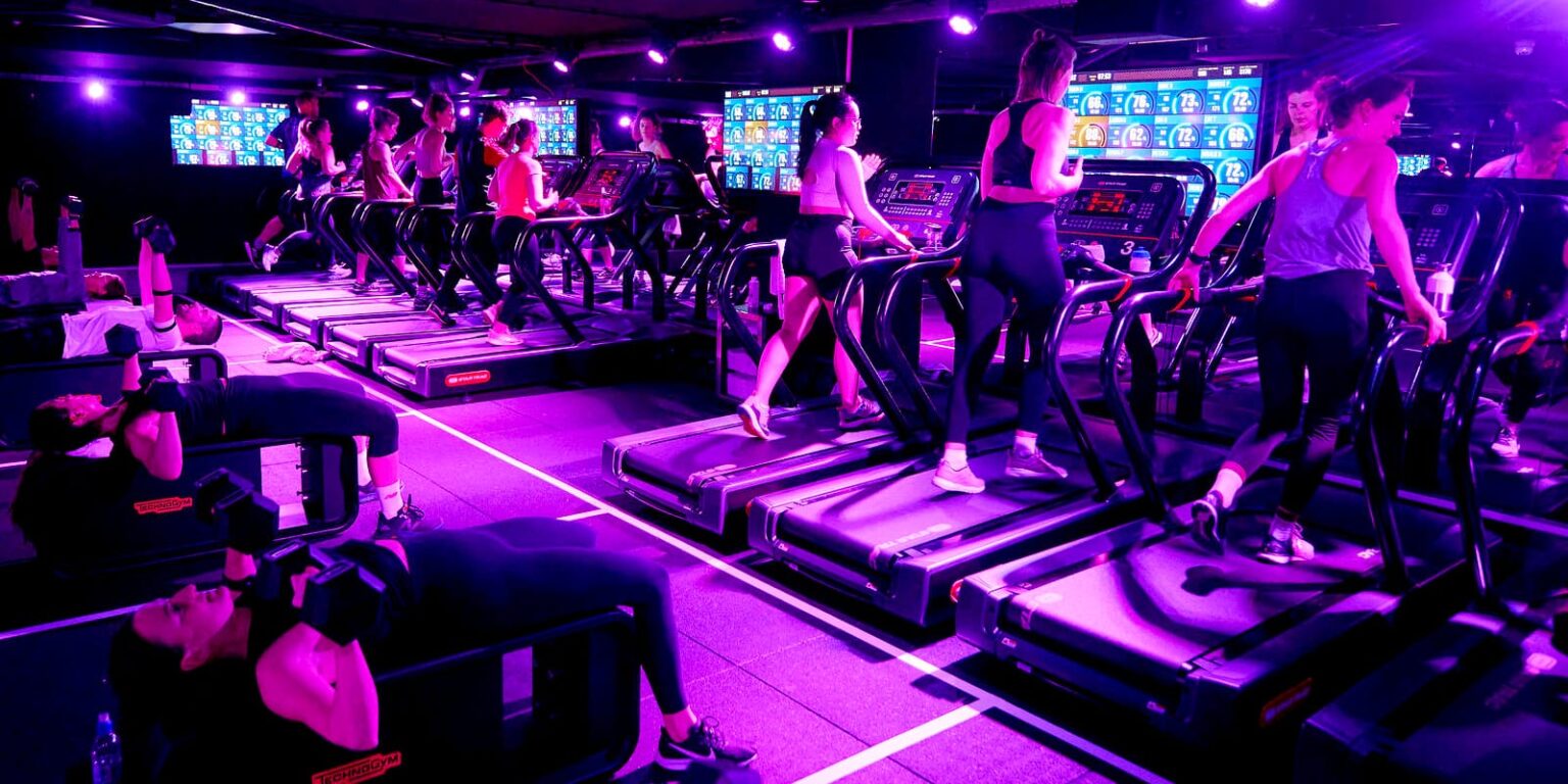 Edan Studios - TRIB3